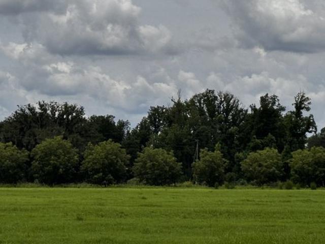 Old Reidsville Collins Rd, Collins, GA 30421