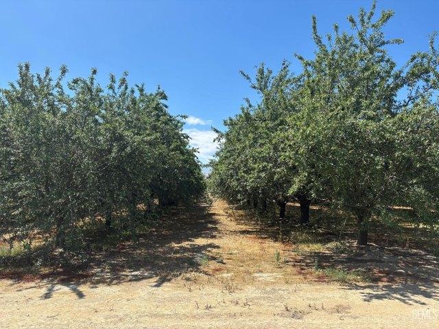 Old Riv and Laval Rd, Bakersfield, CA 93311