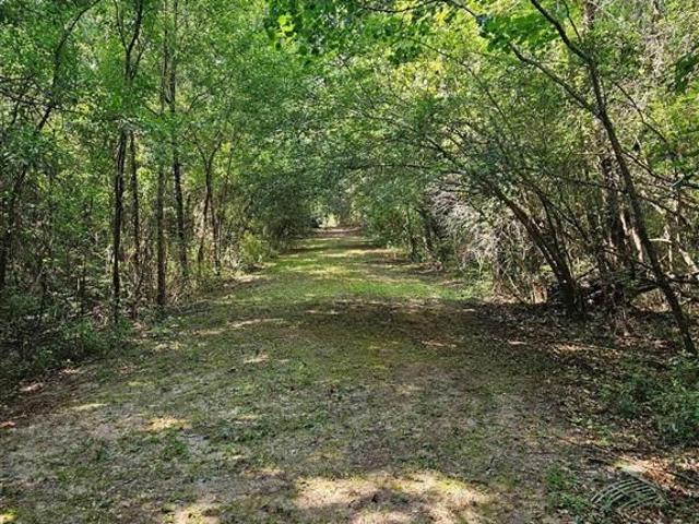 Old River Rd, Starks, LA