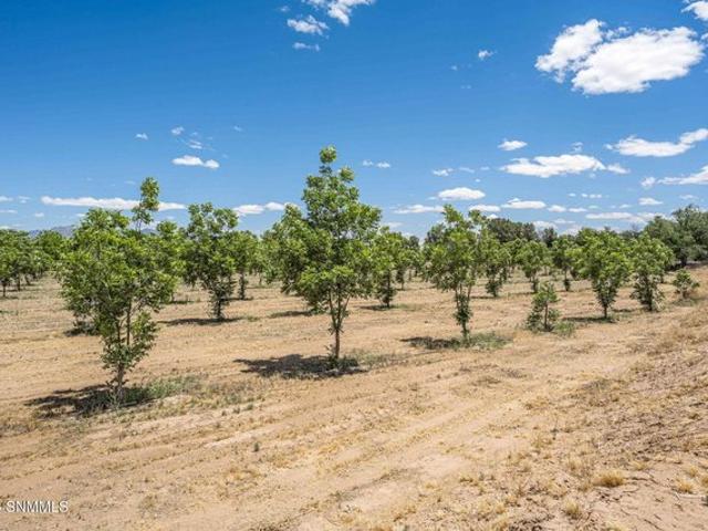 Old River Tbd Rd Lot 3, Las Cruces, NM 88005