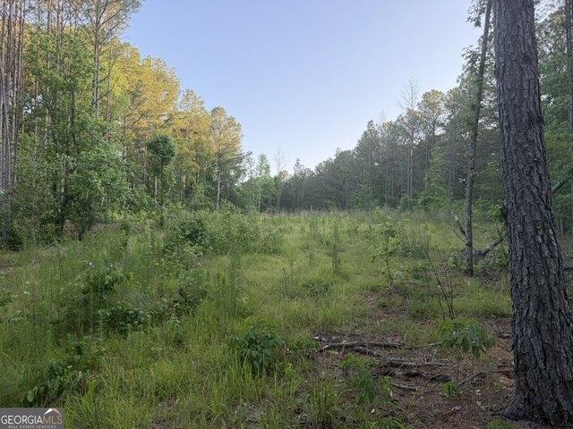 Old Rico Rd, Chattahoochee Hills, GA 30268