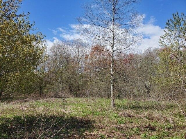 Old W Brookfield Rd, North Brookfield, Plot For Sale