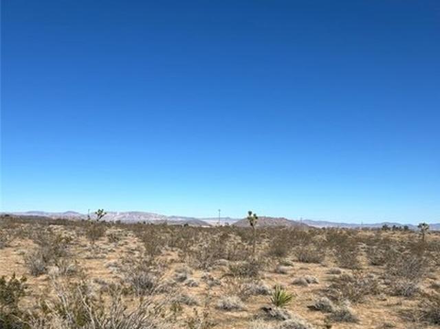Old Woman Spgs, Yucca Valley, CA 92284