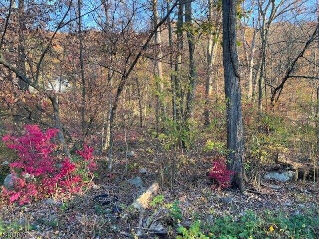 Old Woodland Trl, Jefferson Township, Plot For Sale
