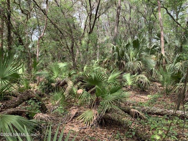 Old Woods Rd, Interlachen, FL 32148