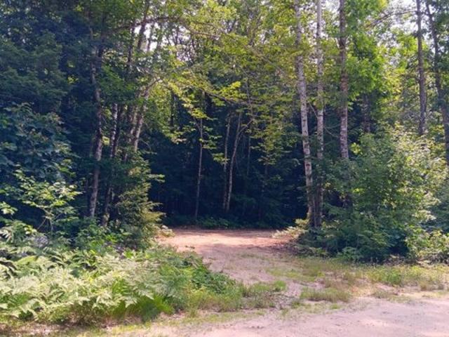 Old Waterford Rd, Lovell, Plot For Sale