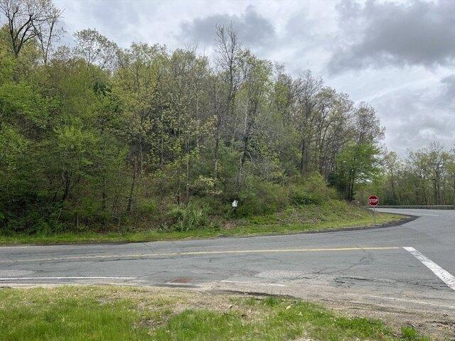 Old Warren Rd Lot,palmer, Plot For Sale