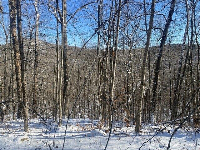 Old Warren Rd, Palmer, Plot For Sale