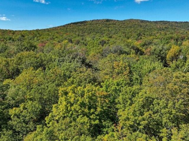 Old Weston Mountain Rd Lot,ludlow, Plot For Sale