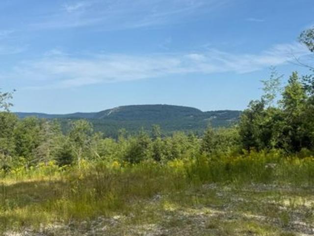 Old Whitney Rd, Harrison, ME 04040