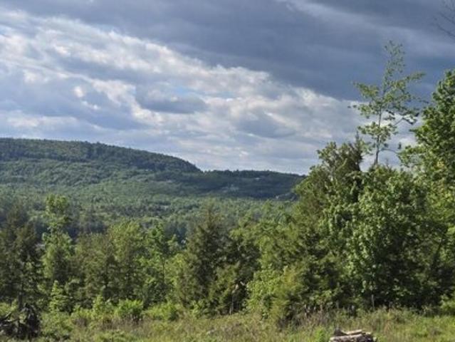 Old Whitney Rd, Harrison, Plot For Sale
