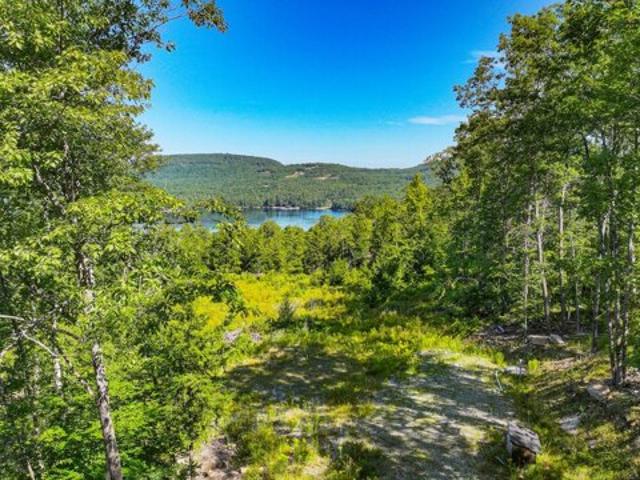 Old Whitney Rd, Harrison, Plot For Sale