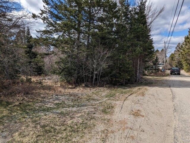 Old Town Rd/old County Rd, Machiasport, Plot For Sale