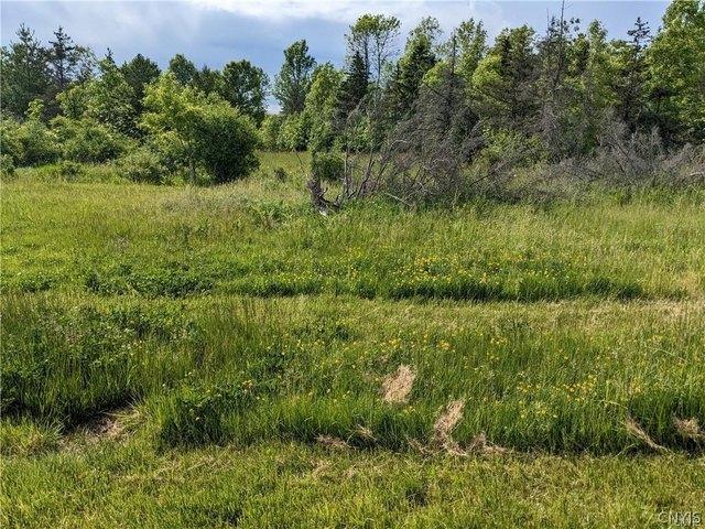 Old Town Springs Rd, Chaumont, NY 13622