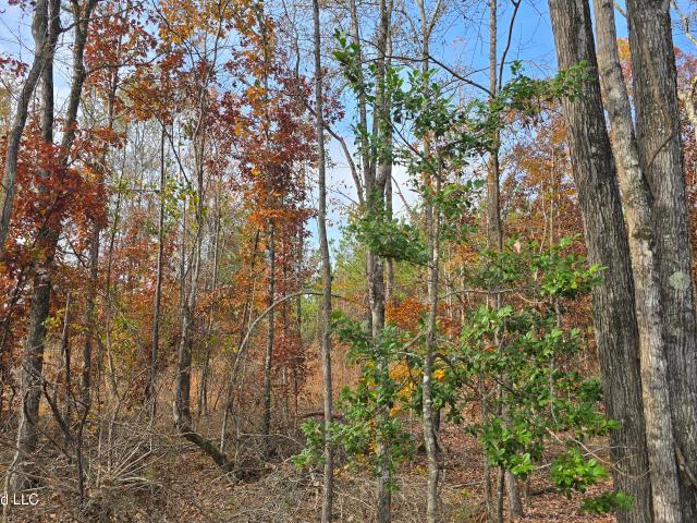 Old Trace Road, McCool, MS 39108