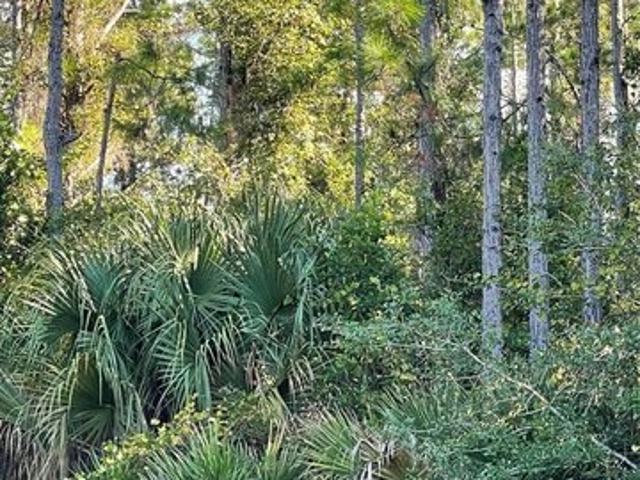 Old Train Rd, Deltona, FL 32738