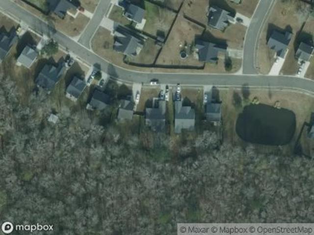 Old Tree Rd