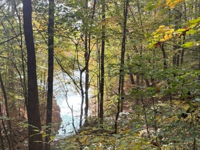 Old Tullahoma Rd, Estill Springs, TN 37330