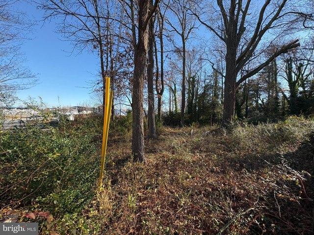 Old Turkey Point Rd, Edgewater, MD 21037