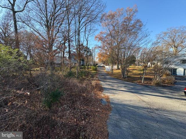 Old Turkey Point Road