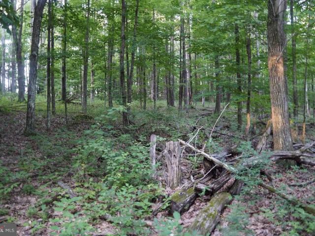 Old Us Highway 322 # LOT 3