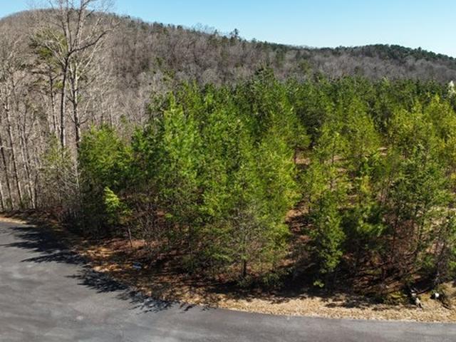 Olde Rockhouse Ln, Demorest, GA 30535