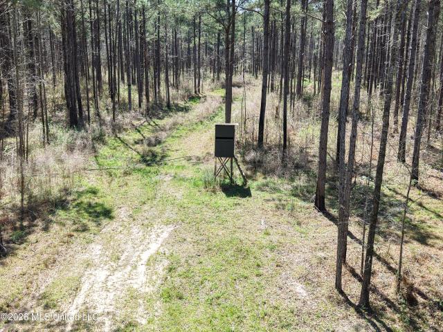 Oldenburg Road, Meadville, MS 39653