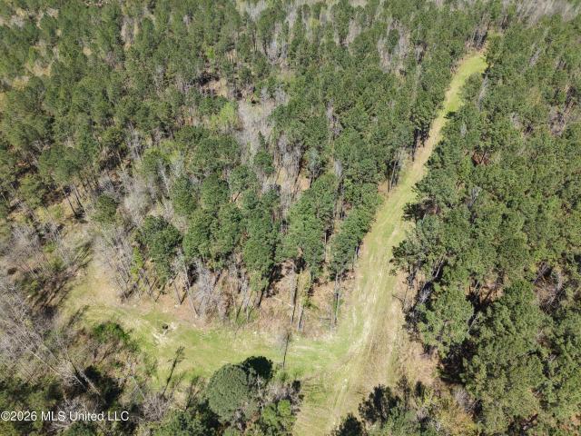 Oldenburg Rd, Meadville, MS 39653 | MLS #4144 | Compass