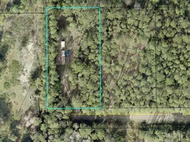 Olive Ave, Bunnell, Plot For Sale