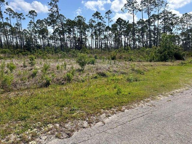 Olive Ave, Port Saint Joe, FL 32456