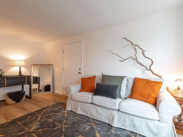 Olive Park Avenue Apartments 2 Bedroom Apartment for Rent at 1729 Park Ave Ne, Salem, OR 97301 Lansing