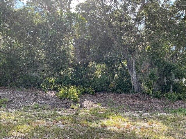 Olive Rd, Ocala, FL 34472
