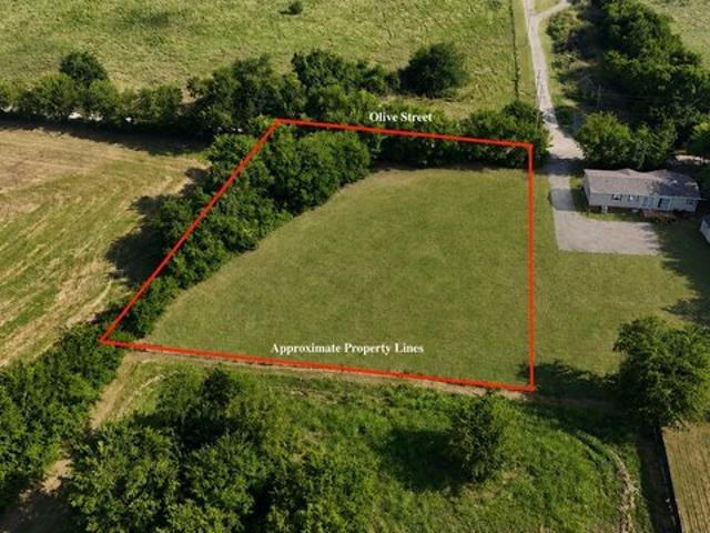 Olive St, Lone Oak, TX 75453