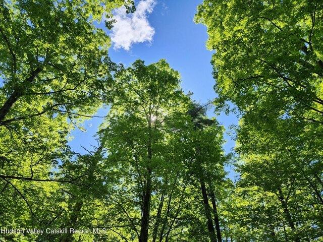 Olivebridge NY 12461 104921625
