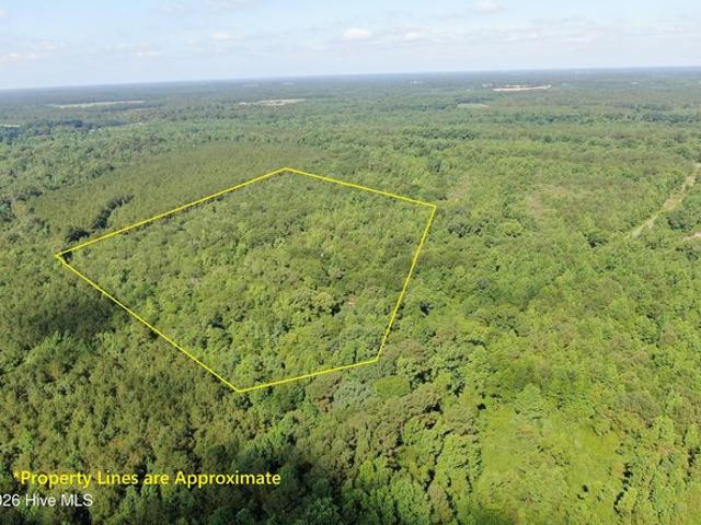 Oliver Carlton Rd, Warsaw, NC 28398