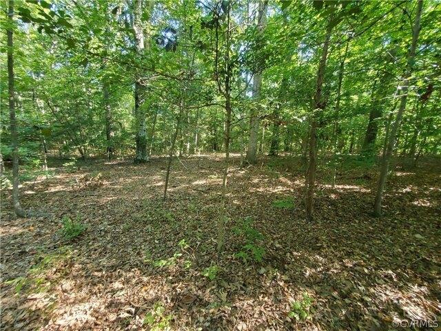 Olivet Church Rd, New Kent, Plot For Sale