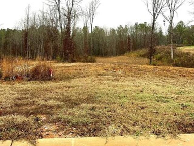 Olivia Ln Lot 14B, Woodstock, AL 35188