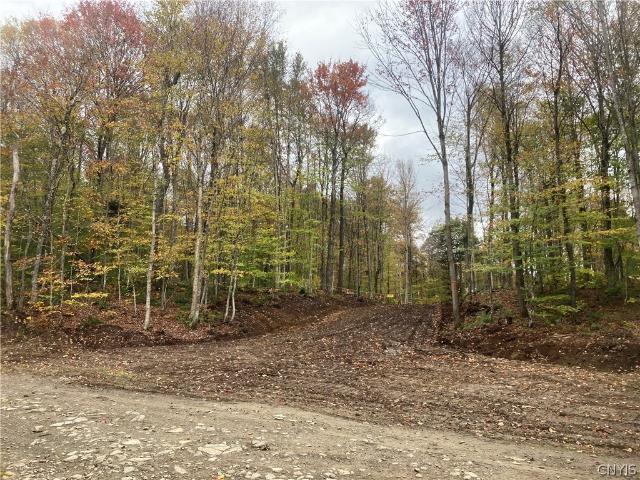 Olin Road