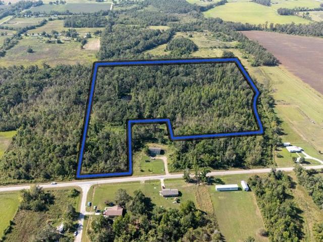 Ollie Morris Rd, Rayville, LA 71269