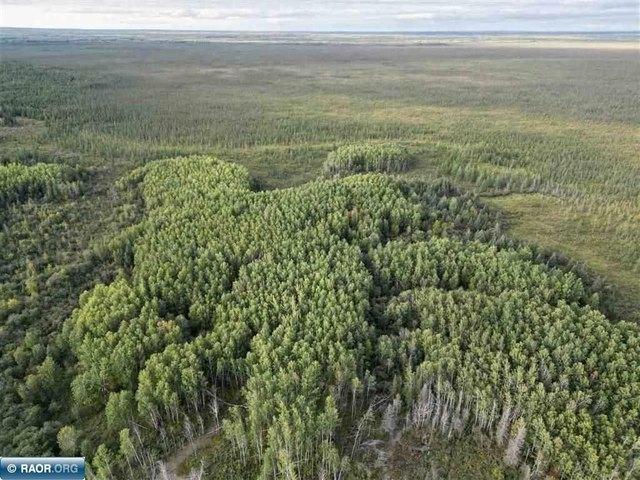 Olson Rd W, Orr, MN 55790