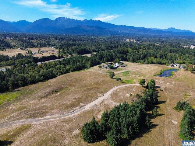 Olympic Mdws Parcel 10, Port Angeles, WA 98362