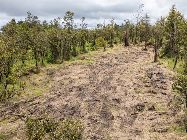 Omeka Rd, Volcano, HI 96785