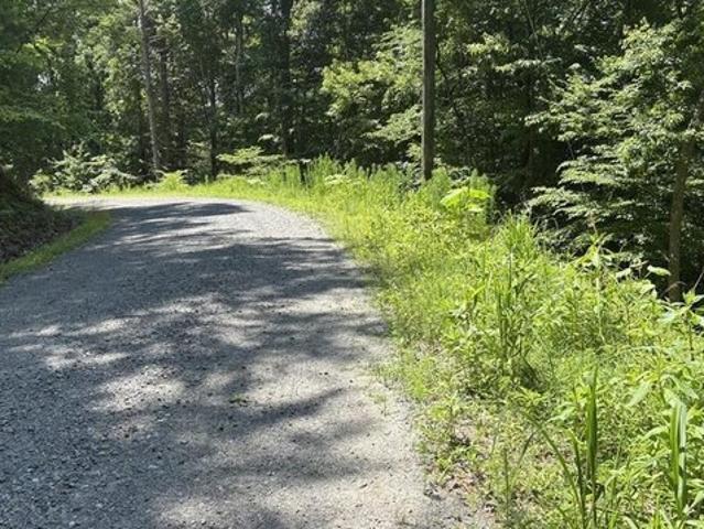 Omen Cir Lot 781, Ellijay, GA 30540