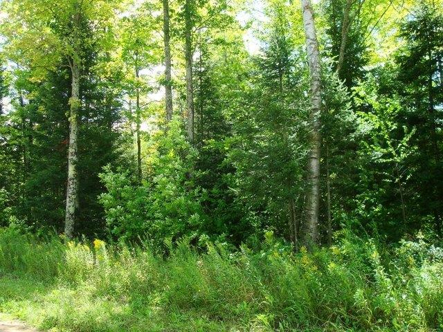 On Velvet Lake Rd Unit TRACT2059, Rhinelander, WI 54501