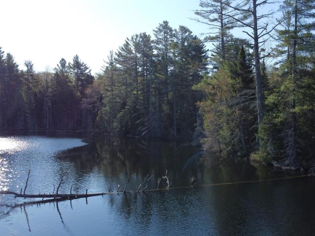 On Wolf Lake Road