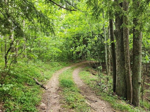 On Yenter Ln, Wittenberg, WI 54499