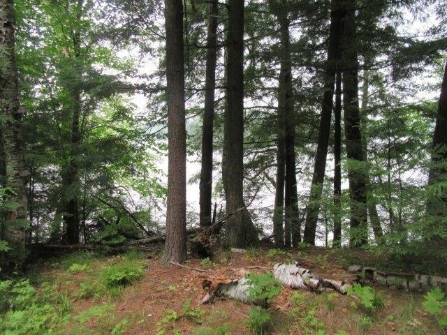 On Arbor Ln Lots 1 & 2, Lac du Flambeau, WI 54538