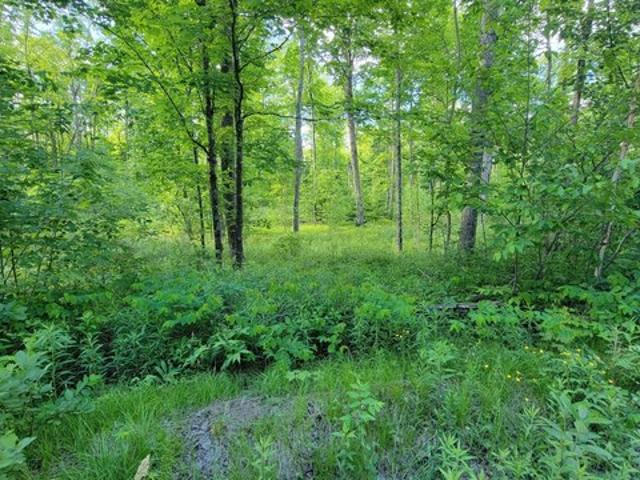 On Brady Ln, Elcho, WI 54428