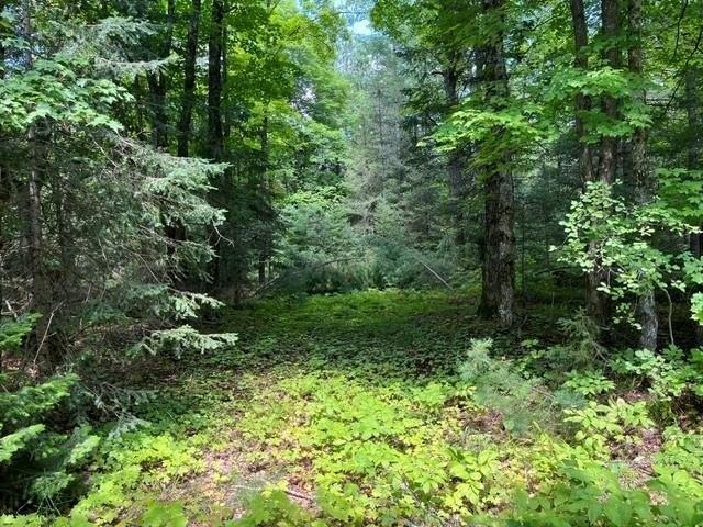 On Cth # B, Land O Lakes, WI 54540