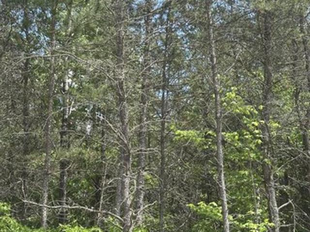 On Cth Y Jns Lot 19, Tomahawk, WI 54457